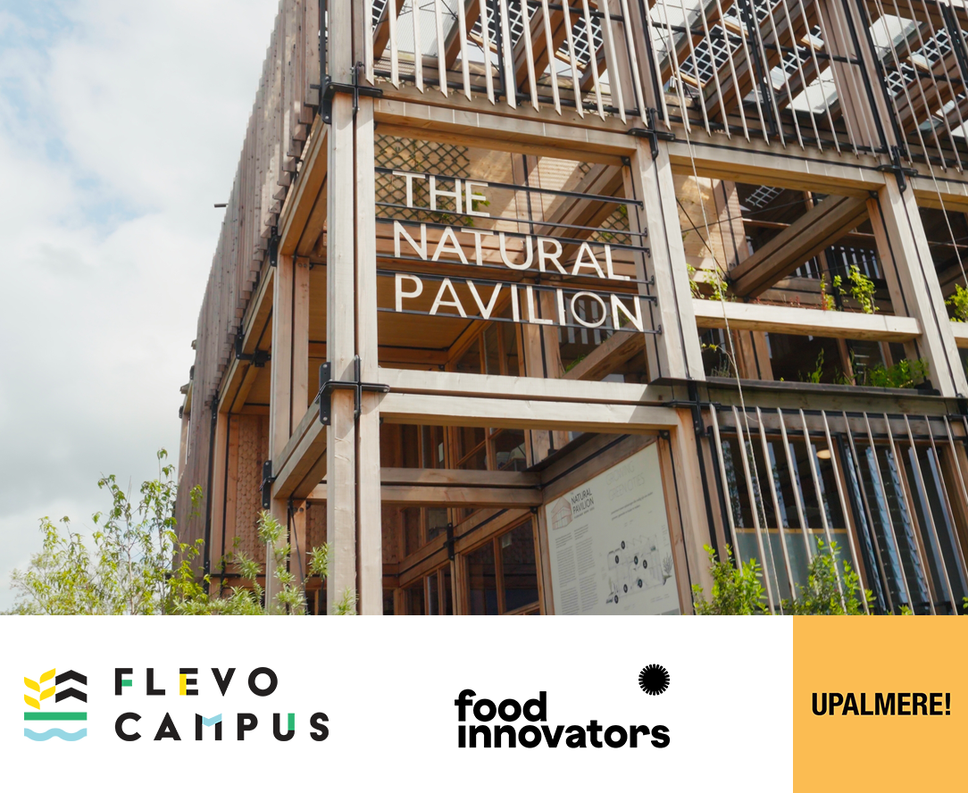 Event: No Failure, No Glory! | Flevo Campus